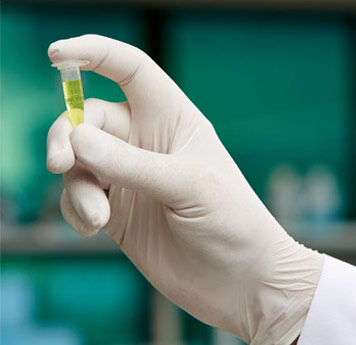 Free sample gloves - Pidegree Medical