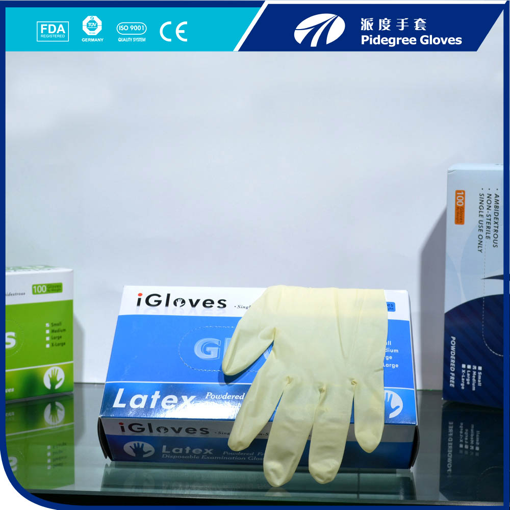 Wholesale 8 Mil Thick White Latex Gloves - iGloves